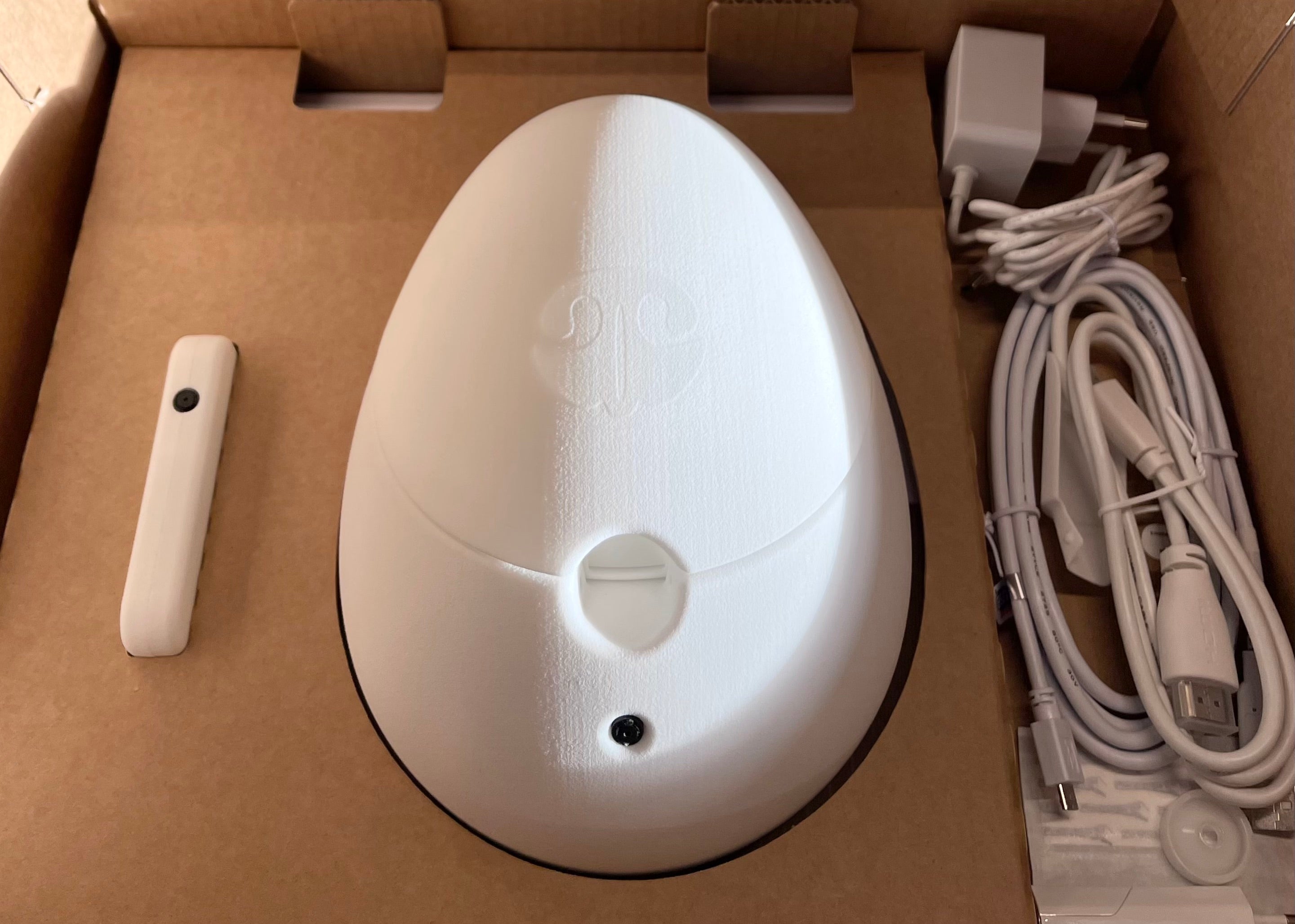 NOVEMBER 2021: Go Dogo "Early Dog" - The first 3D printed Go Dogos ent