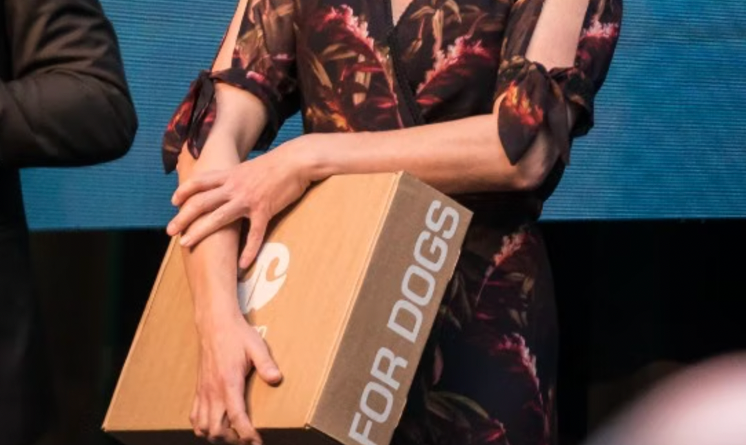 JANUARY 2023: Go Dogo landed at the Amalienborg Palace